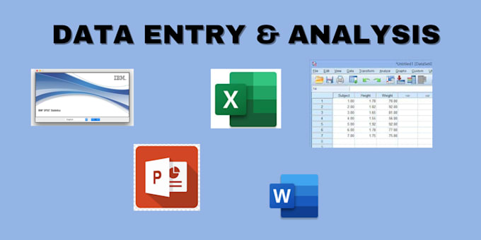 Do spss data entry and word excel data entry by Stella_1996 | Fiverr