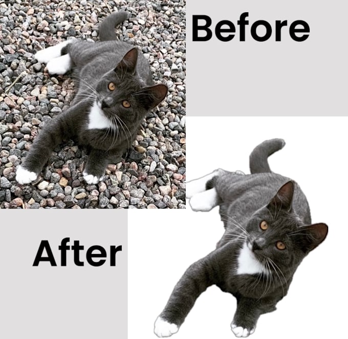 Remove image backgroung of up to 5 photos and replace it by Maxime_beck ...