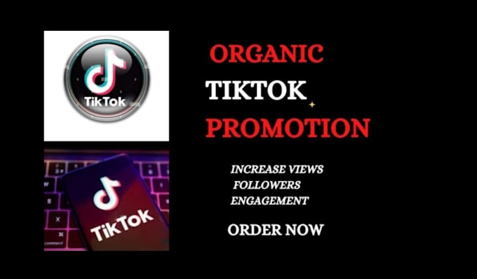 Do Organic Tik Tok Promotion To Skyrocket Your Tik Tok Page To Active