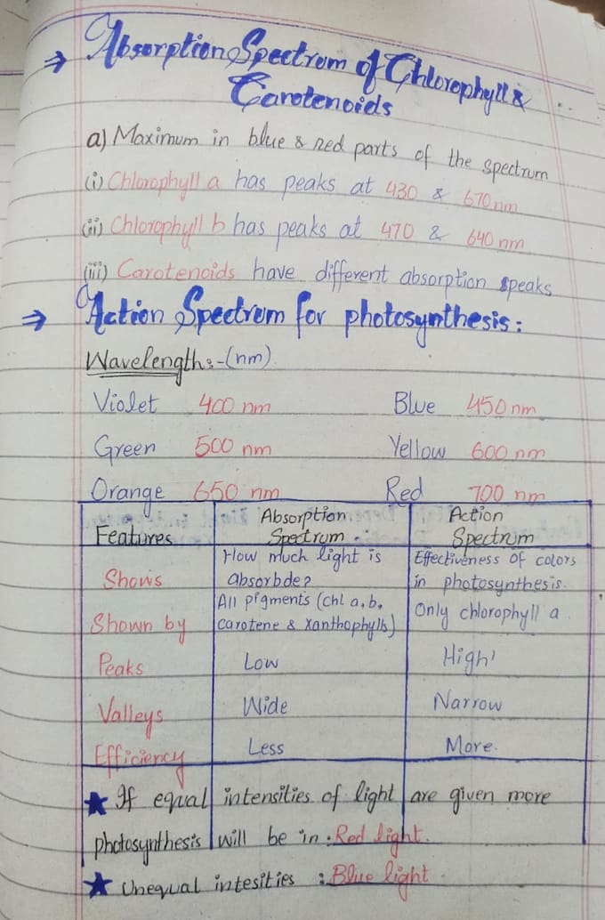 Do handwritten notes and graphic designing by Reem_call | Fiverr
