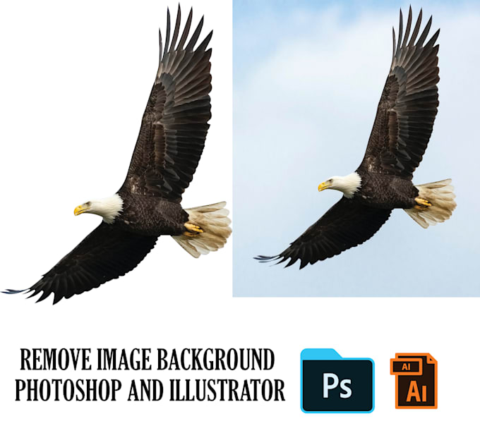 Cut out images background removal professionally by Graphicexpert7s ...