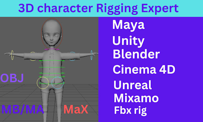 Do 3d character rigging in maya, cinema 4d, blender, and unity by Abdul ...