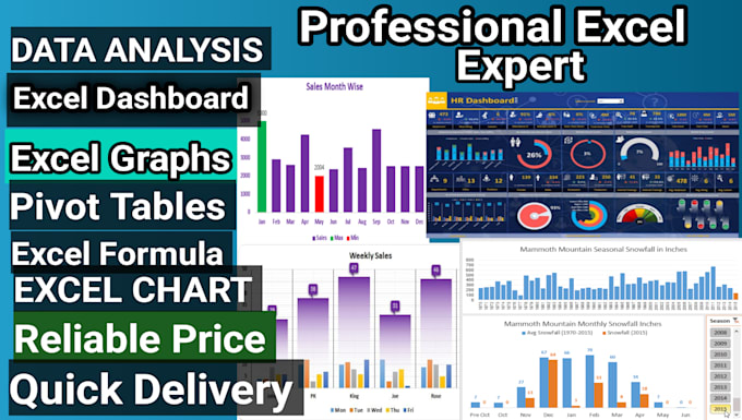 Excel graphs, charts, pivot table, data cleaning, pdf to excel ...