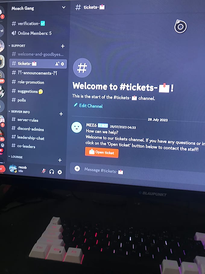 Complete a fast, clean and professional, discord server by Rezxb1 | Fiverr