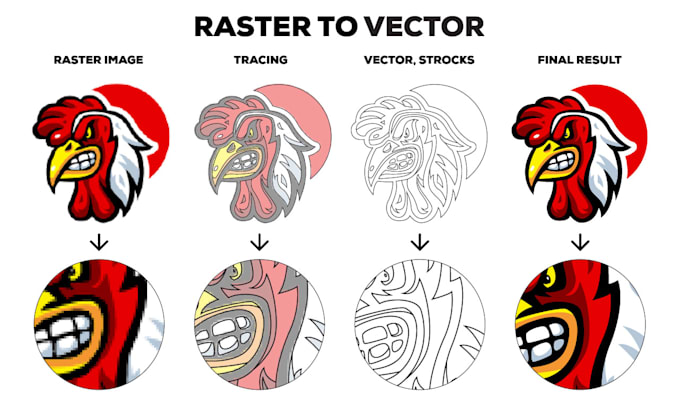 Vectorize and illustrate raster designs and images by Kforkhalid | Fiverr