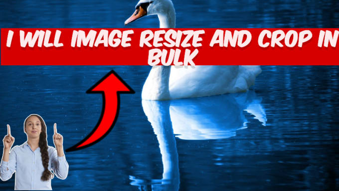 Image resize and crop in bulk by Pickto86 | Fiverr