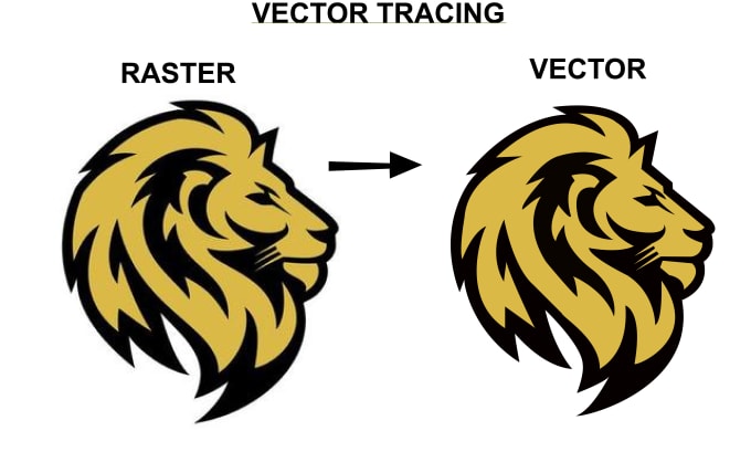 Convert raster to vector, vector tracing by Khizra10 | Fiverr