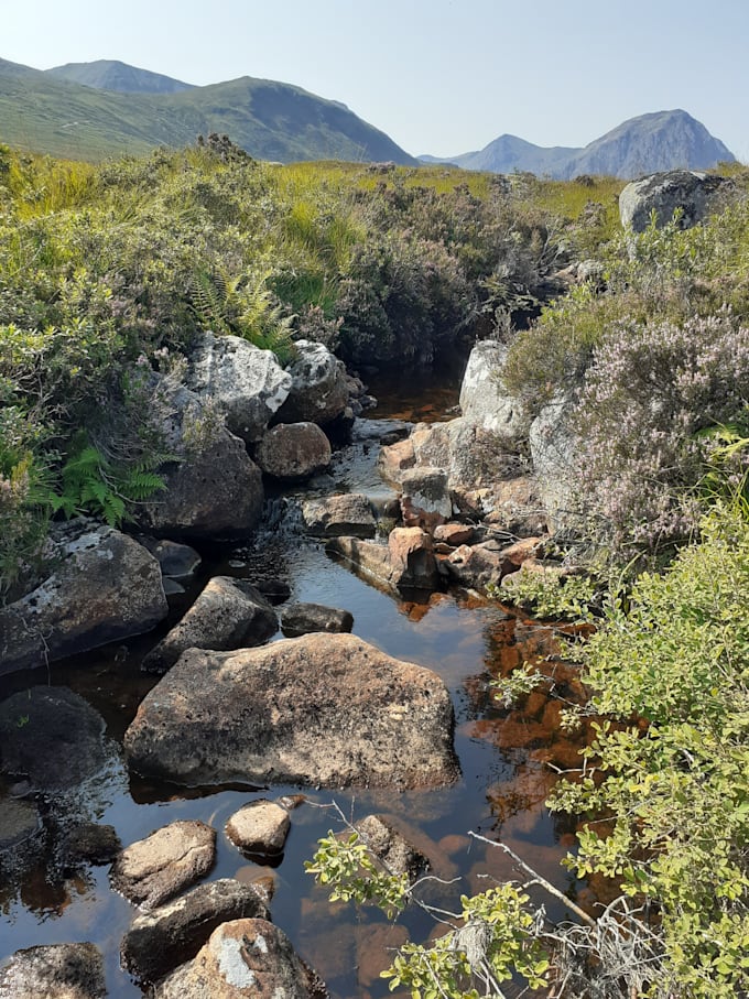 Photos my focus is nature by Oanav1 | Fiverr