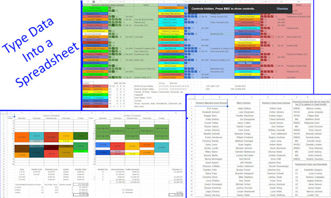 Type your data into a spreadsheet by Tararjohnson | Fiverr