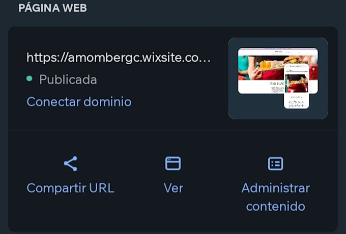 Diseño paginas web a traves de wix soy capaz de adecuarme a todo by Magik_shadow | Fiverr