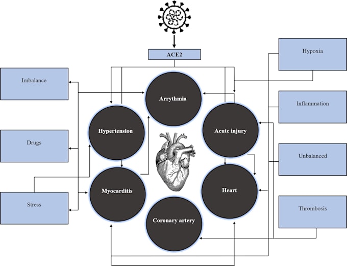 Draw your scientific figures and graphical abstract by Designsbyashiii ...