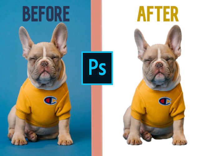 Do remove photo backgrounds for you by Edinchs | Fiverr
