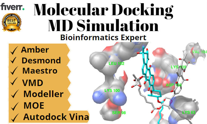 Do Molecular Docking And Md Simulation By Hiraalihussain Fiverr