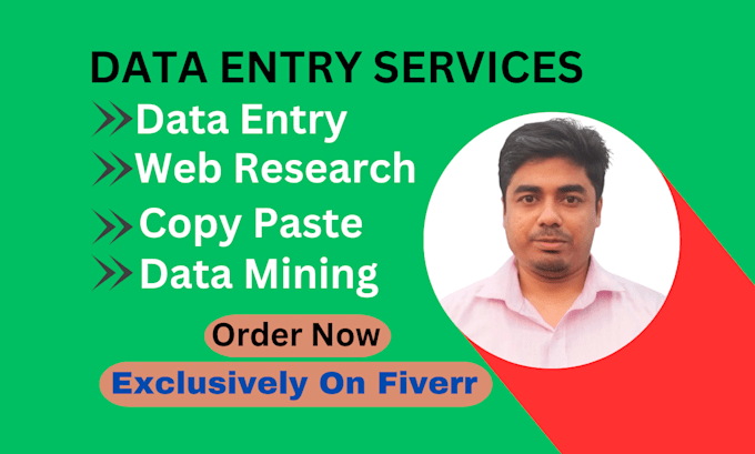 Do excel data entry, web research, data mining, copy paste, data entry by Data_b2bleads | Fiverr