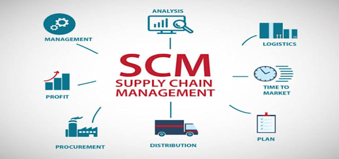 Help you with operational management and scm by Aanchalmunreja | Fiverr