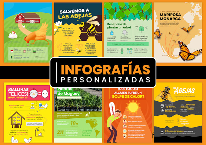Creative, impressive, and professional infographics by Iamomargs | Fiverr