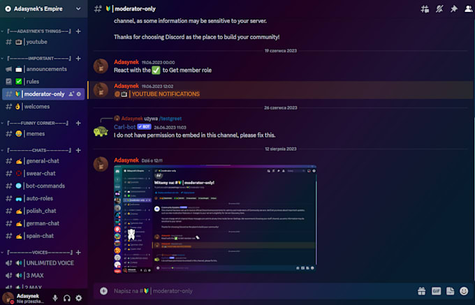Do discord server setup by Adasynek | Fiverr