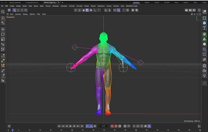 Rig your 3d character professionally by Nikolozkaraulas | Fiverr