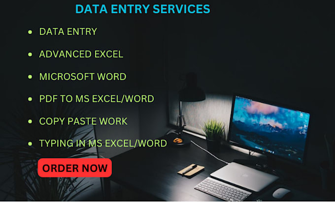 Data entry expert and advanced excel professional excel expert by ...