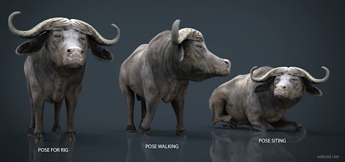 Sculpt and model realistic 3d animals, 3d animals characters for 3d ...