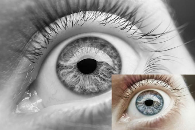 Transform your boring old black and white photos into incredible color ...