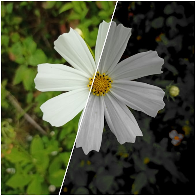 Do photos edit , colour grading by Manish_atiyal | Fiverr