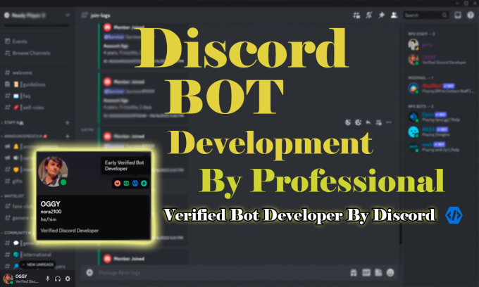 Create Custom Discord Bot By Nora2100 Fiverr
