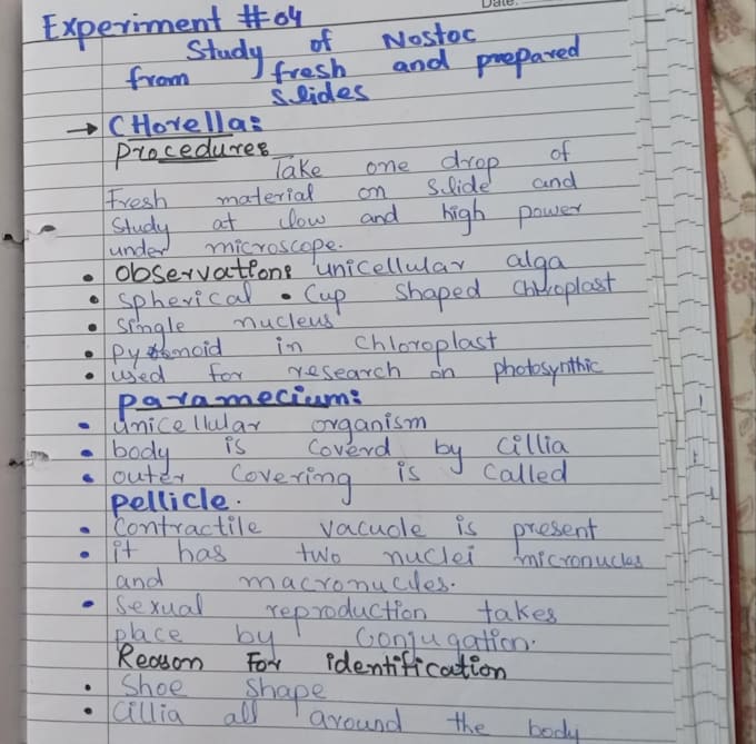 Do attractive handwritten assignment work of any subject by Maria_zafer ...