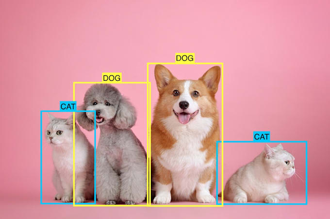 Annotate, tag and label data for ai and ml algorithms by Chiaralena | Fiverr