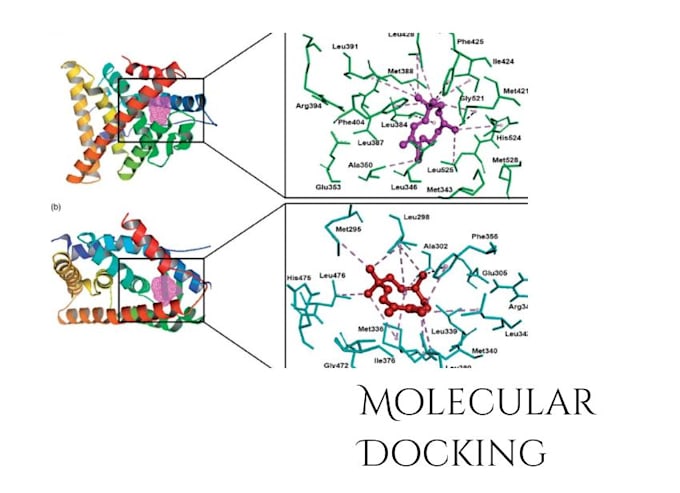 Do Rnaseq Analysis Molecular Docking Md Simulation And Bioinformatics
