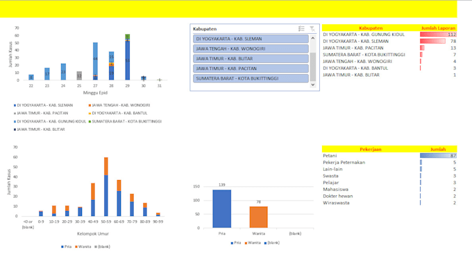 Create simple dashboard in excel from your excel file by ...
