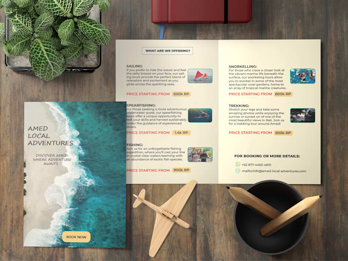 Craft classy brochure and flyers ensuring full satisfaction by ...