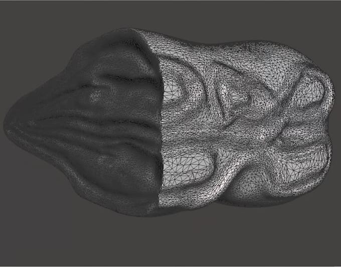 Edit and repair stl obj by Brunoponso | Fiverr