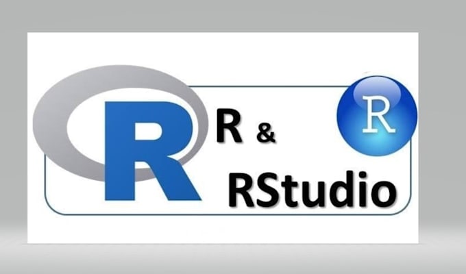 Be your data analyst by Nickmicky | Fiverr