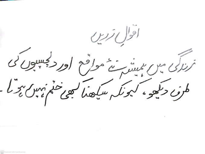 Provide Professional English To Urdu Translation Services By