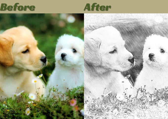 Convert your photos into pencil sketch or remove background by ...