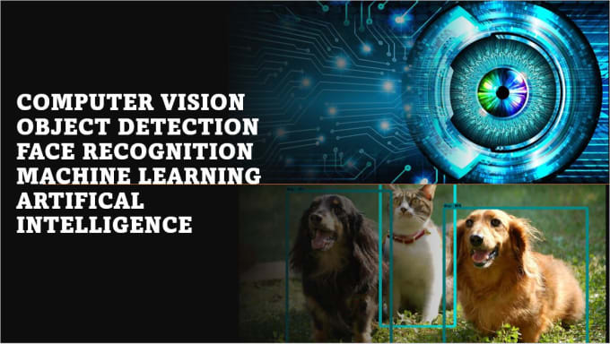 Do Object Detection Face Recognition Segmentation And Computer Vision