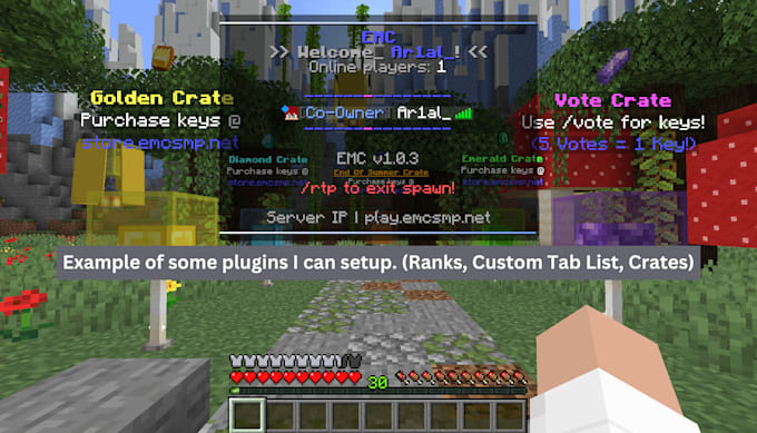 Setup a professional and profitable minecraft server by Ar1al_ | Fiverr