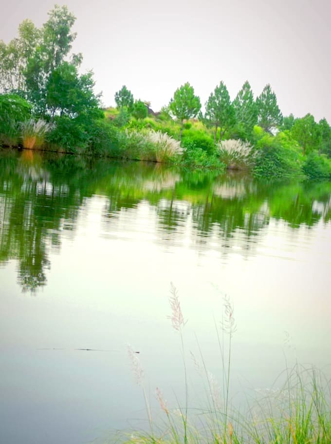 Provide product photography for amazon in pakistan by Sameen_ali_desi ...