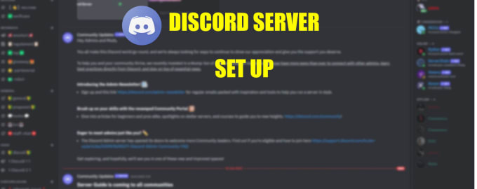 Set up discord server by Patew2 | Fiverr