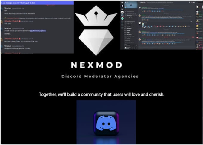 Provide professional discord moderator ensuring order and harmony in ...
