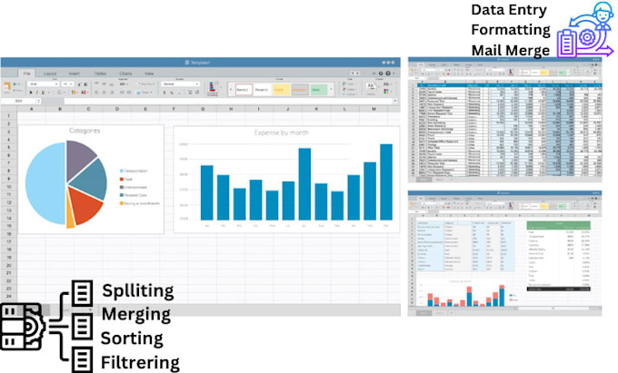 Do Data Entry Splitting Formatting Sorting Filtering Merging And Formulation By