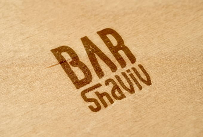 Make you a logo by Bar_shaviv | Fiverr