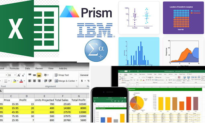 Analyze any statistical data through graphpad prism, excel and spss by ...