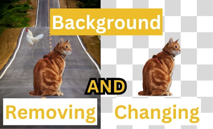 Magic background removing and object removing by Oshan13 | Fiverr