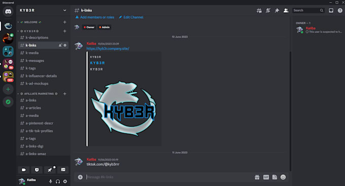 Create you a space on discord to effectively manage your business by ...