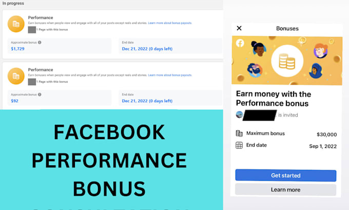 Consult about facebook performance bonus issues by Abdulraheemltd | Fiverr
