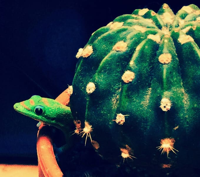 Provide concept and design with utmost attention between the lines by ...