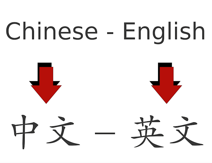 Provide professional chinese and english translation service by ...