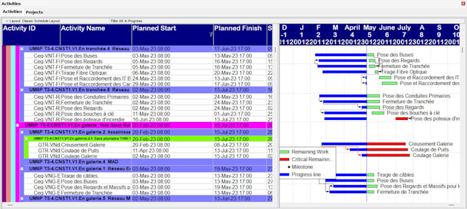 Complete schedules on primavera p6 and all pc related tasks negotiable ...